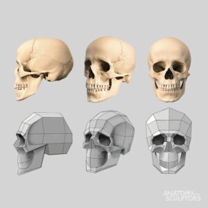 3D Head Modeling Topology & Techniques – AnimSchool Blog