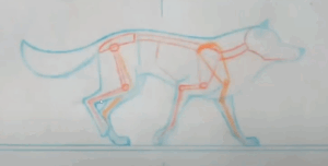 Animating a Quadruped – AnimSchool Blog