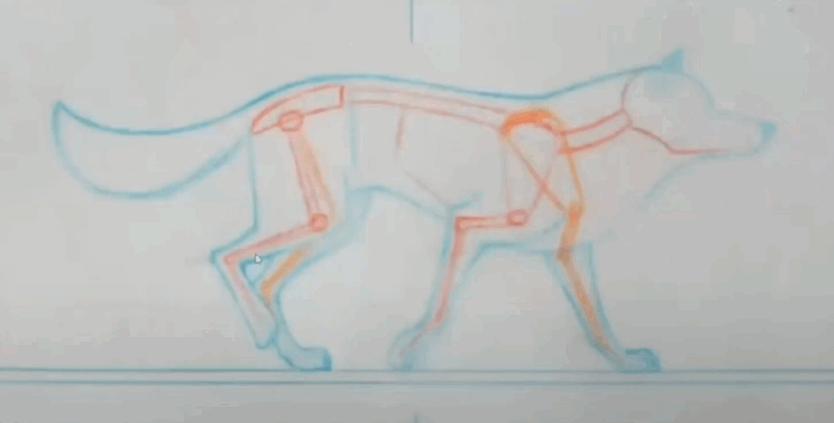 dog walk cycle – AnimSchool Blog