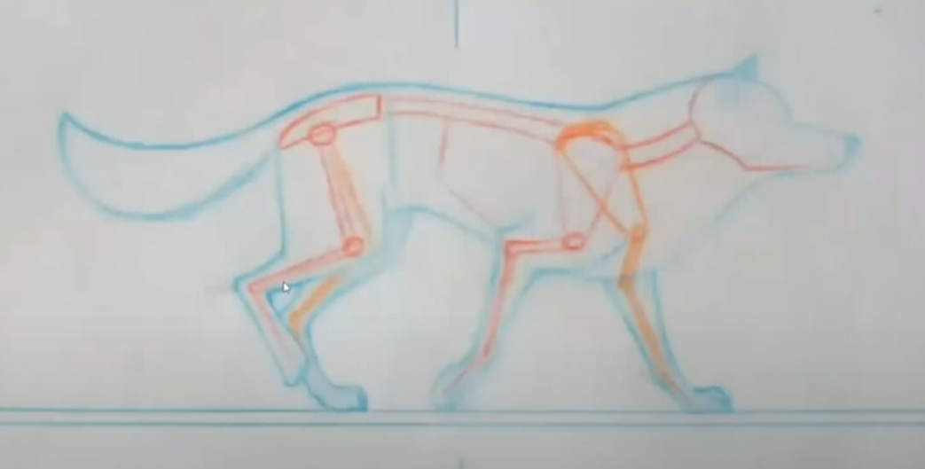 dog walk cycle – AnimSchool Blog