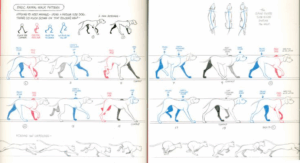 dog walk cycle – AnimSchool Blog